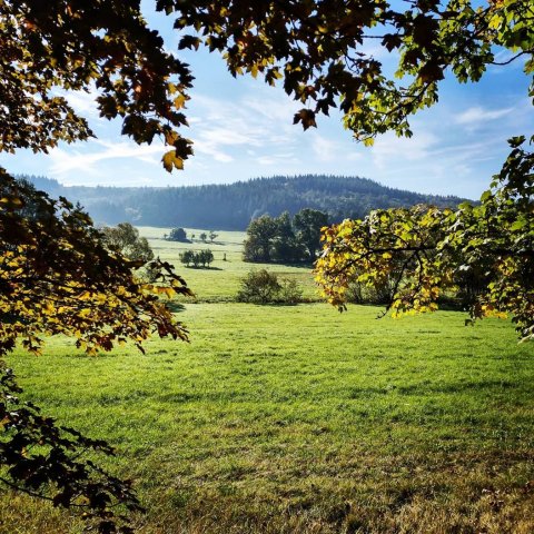 Galerie | Gemeinde Mittenaar